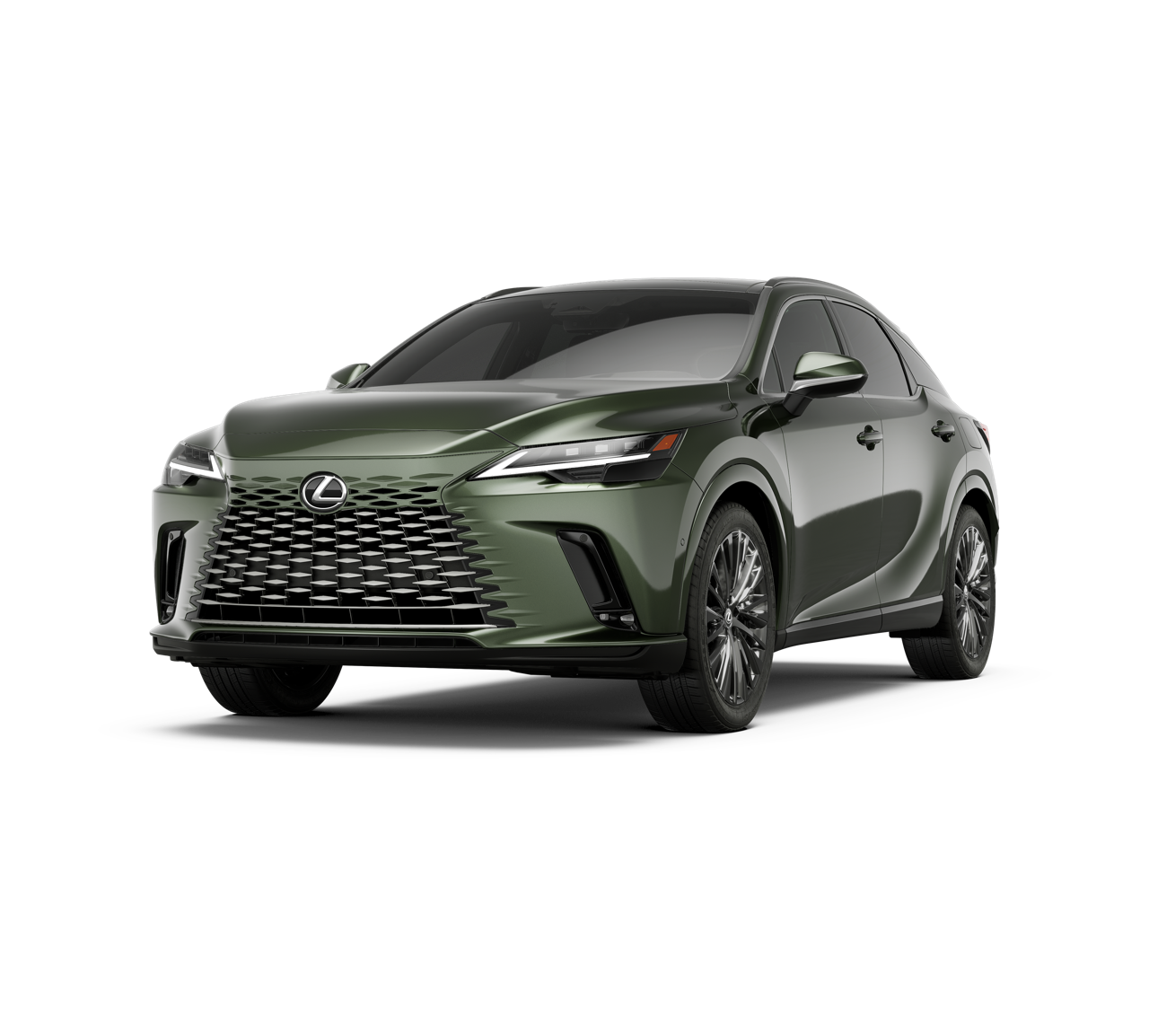 Lexus RX Hybrid Model Showroom